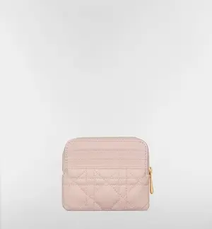 Dior Zipper Wallet