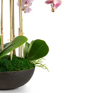 COCOBELLA Abella Realtouch Orchid Arrangement - Periwinkle