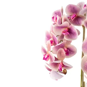 COCOBELLA Abella Realtouch Orchid Arrangement - Periwinkle