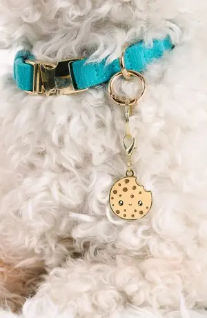 PINK PAPYRUS Pet Collar Charm