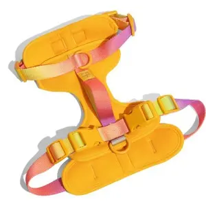 PINK PAPYRUS Dog Harness