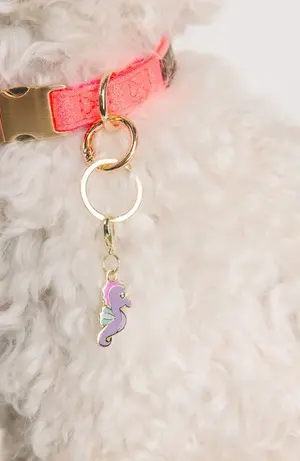 PINK PAPYRUS Pet Collar Charm