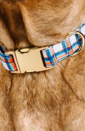 PINK PAPYRUS Dog Collar