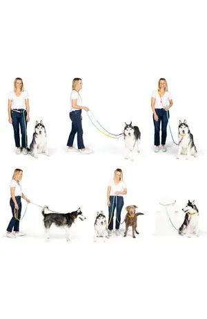 PINK PAPYRUS Pixie Hands-free Rope Dog Leash