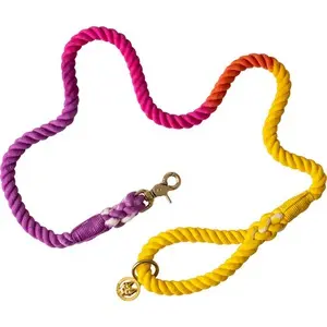 PINK PAPYRUS Roxy Rope Dog Leash - Roxy 4ft