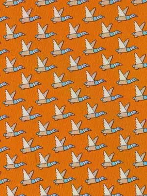 FERRAGAMO Mallard Print Silk Neck Tie - Orange