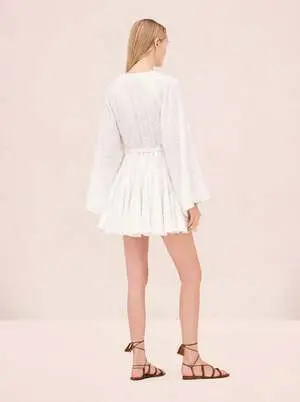 Alexis Palmari Embroidered Mini Dress