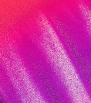 Oseree Ombré Swimsuit