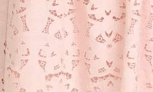 WAYF Kassi Embroidered Midi Dress With Tie Shoulders - Blush