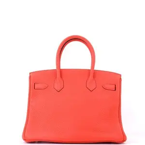 Hermès Birkin Handbag Orange Togo With Palladium Hardware 30 - Capucine