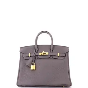 Hermès Birkin Handbag Grey Togo With Gold Hardware 25 - Gris Meyer