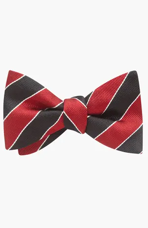 BEAU TIES OF VERMONT Scholastic Bow Tie - Freestyle