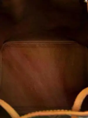 LOUIS VUITTON Monogram Petit Noe Bucket Bag