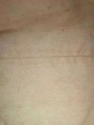 Gucci Gg Canvas Bella Convertible Tote Satchel