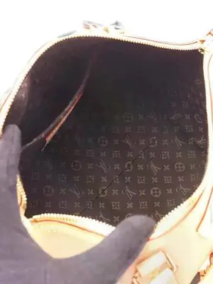 LOUIS VUITTON 2010s Speedy 30 Tote Bag