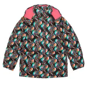 Gucci X The North Face Down Jacket /black - Multicolor