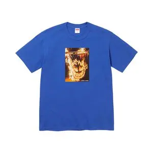 Supreme X Spitfire Flag Tee 'royal - Blue
