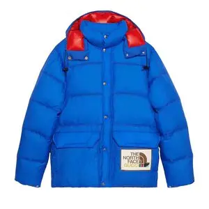 Gucci X The North Face Down Jacket - Blue