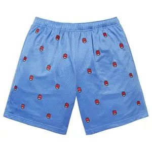 Supreme X Spitfire Mesh Shorts - Blue