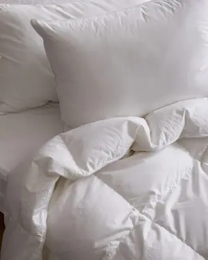 Quince Ultra-warm Premium Down Alternative Duvet Insert