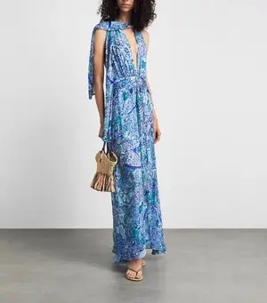 Rixo Chiffon Alaina Maxi Dress