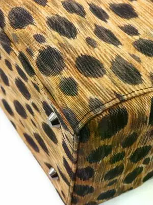 Dior 2000s Lady Leopard Print Handbag - Neutrals