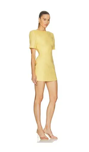 CAMILA COELHO Evelia Mini Dress