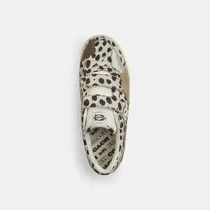 COACH OUTLET Double Strap Soho Sneaker With Clouds