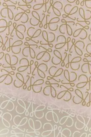 Loewe Wool Blend Scarf