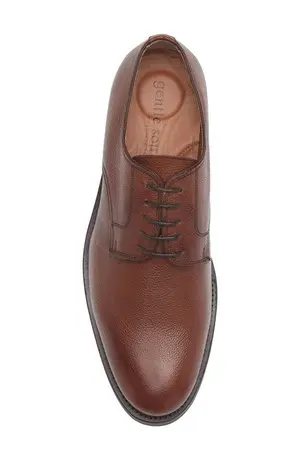 Gentle Souls Castelo Plain Toe Derby