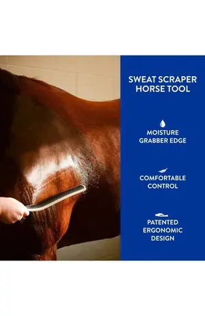 WAHL Equine Grooming Sweat Scraper Horse Tool