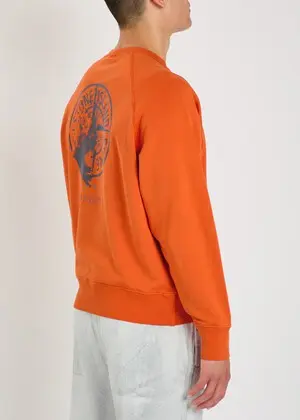Stone Island Printed Cotton Sweatshirt