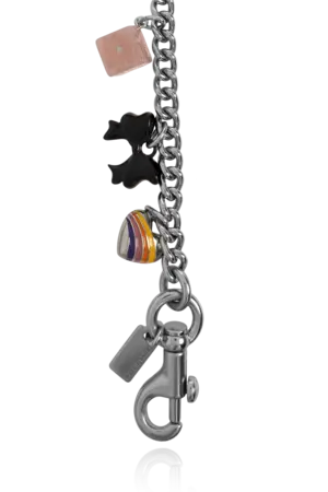 COACH Keychain With Charms