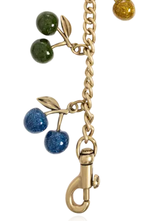 COACH Keychain With Charms