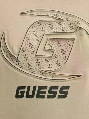 Guess Logo-print Pouch-pocket Hoodie