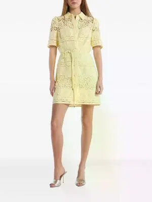 CHRISTY LYNN Valencia Lace-embroidered Mini Dress - Yellow