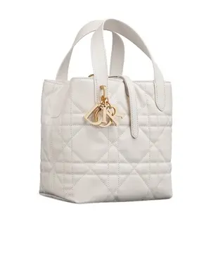 Dior Small Toujours Vertical Tote Bag
