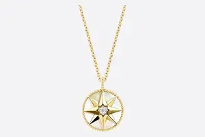 Dior Medium Rose Des Vents Medallion