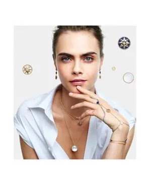 Dior Medium Rose Des Vents Medallion