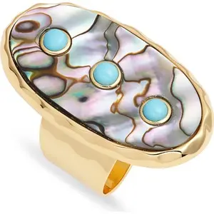 Nest Jewelry Abalone And Turquoise Studded Adjustable Ring - Turquoise Multi