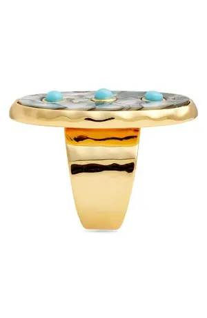 Nest Jewelry Abalone And Turquoise Studded Adjustable Ring