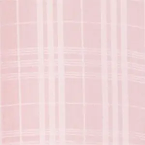 Burberry Cotton Check Shirt