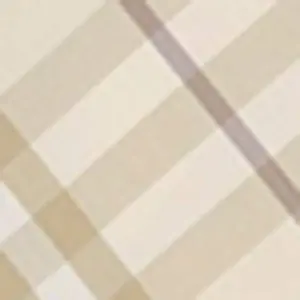 Burberry Cotton Check Mini Shirt Dress