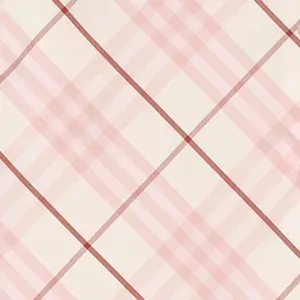 Burberry Cotton Check Shirt