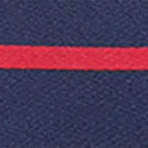 Polo Ralph Lauren Silk Sailboat Neck Tie