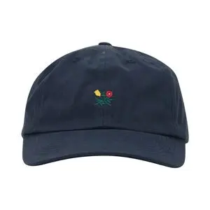 Aimé Leon Dore Brushed Crest Hat - Blue
