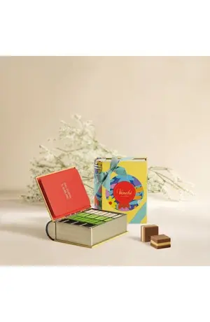 VANCHI Teresa Rego Spring Collection Chocolate Book Tin