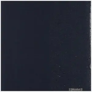 Faliero Sarti Rectangular Sequin Scarf