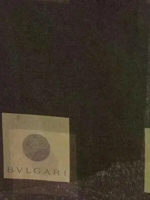 BVLGARI Printed Silk Scarf