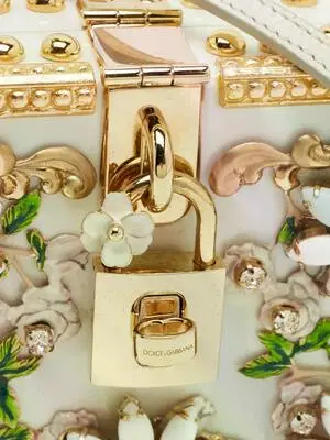 Dolce & Gabbana Locket Box Floral-motif Mini Bag